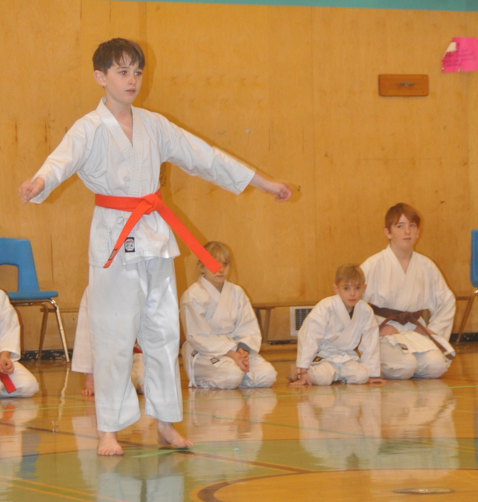 Nanaimo Shotokan Karate-do Association
