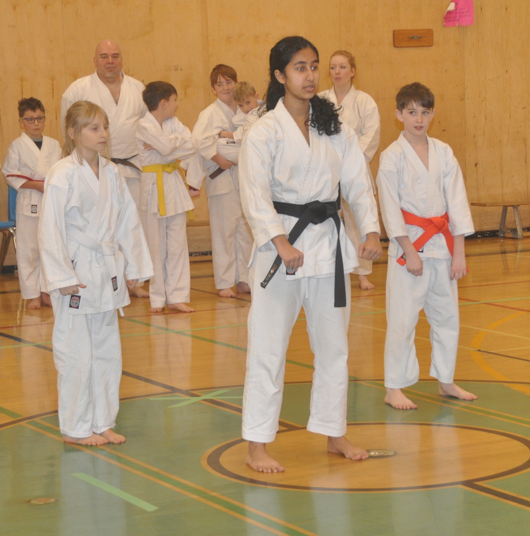 Training – Nanaimo Shotokan Karate-do Association