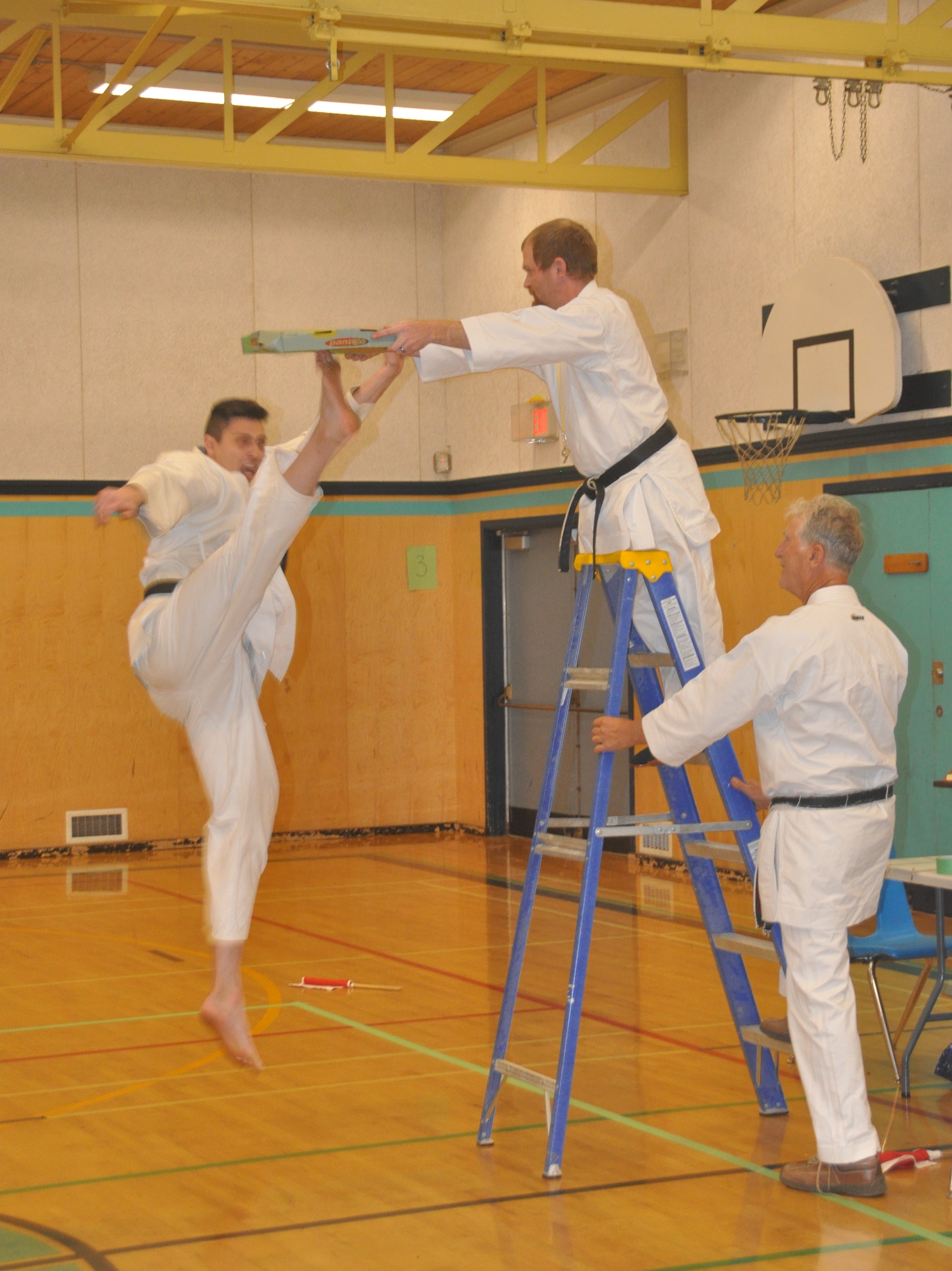 Nanaimo Shotokan Karate-do Association